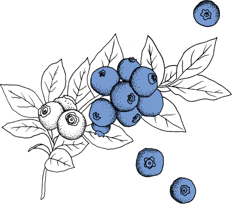 Beef & Blueberry Recipe | Kitchen Table